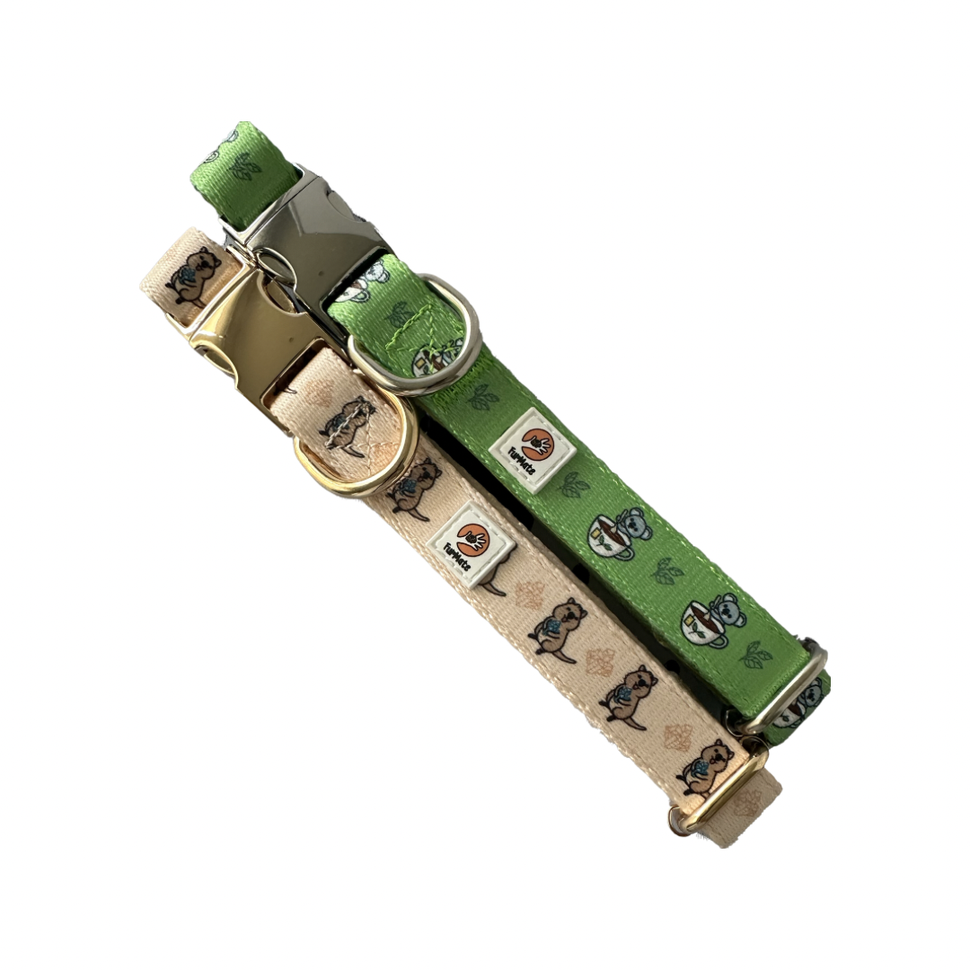 Quartz Quokka Collar – FurMate