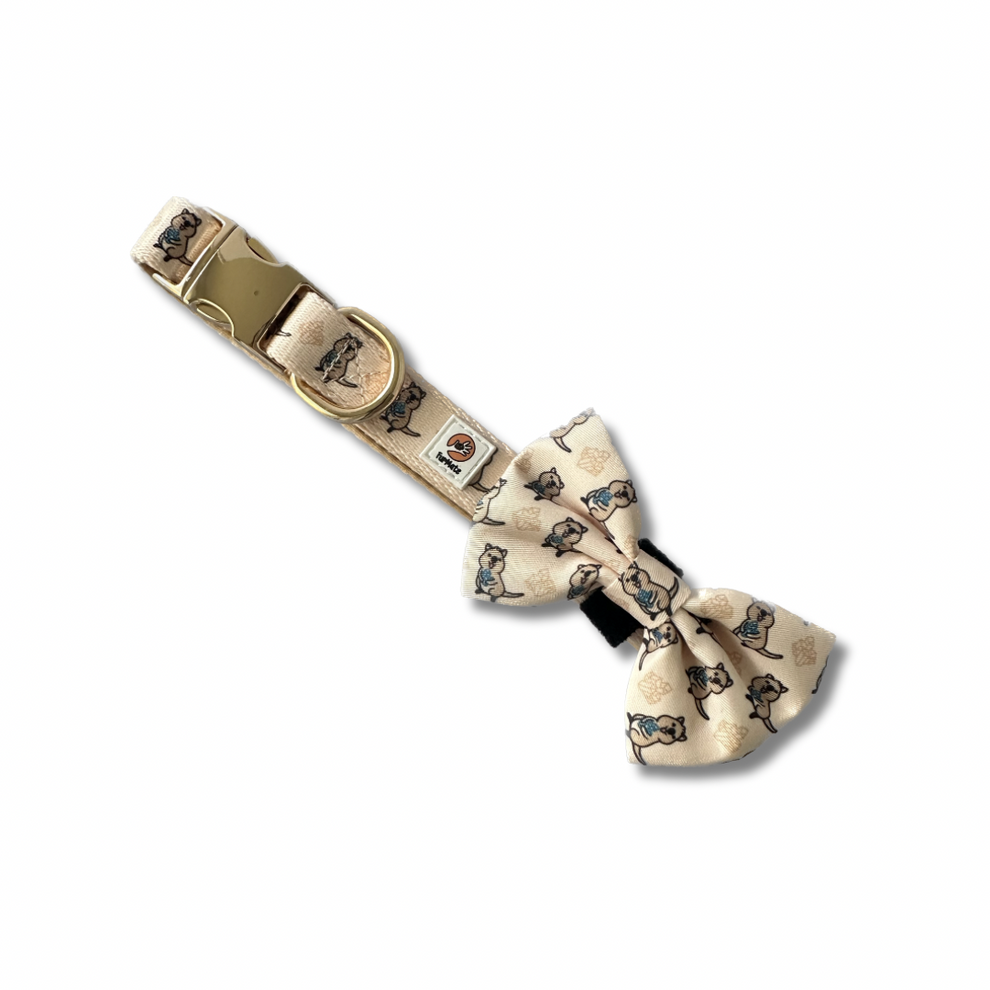 Quartz Quokka Collar – FurMate